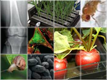 Space Life Sciences Education Website :: Resources :: Ascend Learning Experience