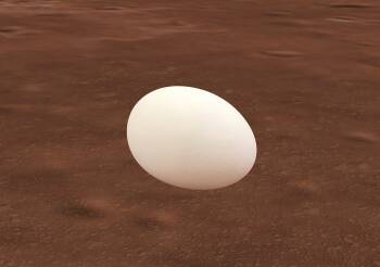 Planetary (Egg) Wobble and Newton’s First Law :: Resources :: Ascend ...