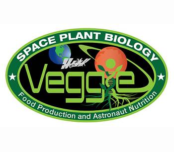 ‘NASA STEM Stars’: Space Plant Biologist :: Resources :: Ascend Learning Experience