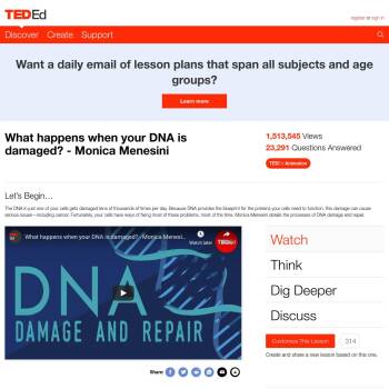 What happens when your DNA is damaged? - Monica Menesini :: Resources ...