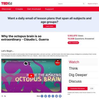 Why the octopus brain is so extraordinary - Cláudio L. Guerra ...