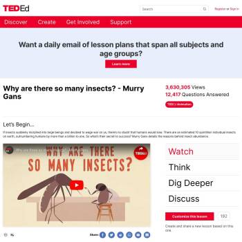 Why are there so many insects? - Murry Gans :: Resources :: Ascend ...