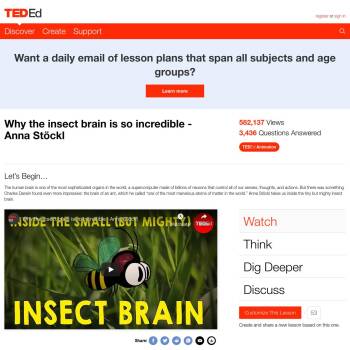 Why the insect brain is so incredible - Anna Stöckl :: Resources ...