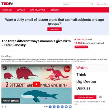 The three different ways mammals give birth - Kate Slabosky ...