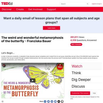 The weird and wonderful metamorphosis of the butterfly - Franziska ...