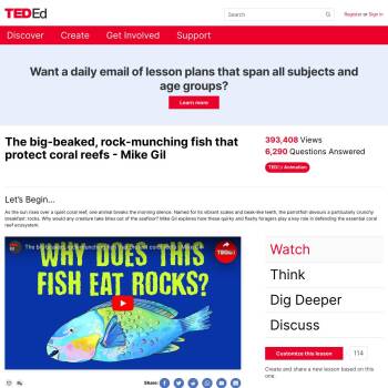 The big-beaked, rock-munching fish that protect coral reefs - Mike Gil ...