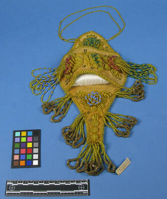 Investigating a Place: Niagara Falls :: Resources :: Ascend Learning ...