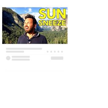 The Sun Sneeze Gene :: Resources :: Ascend Learning Experience