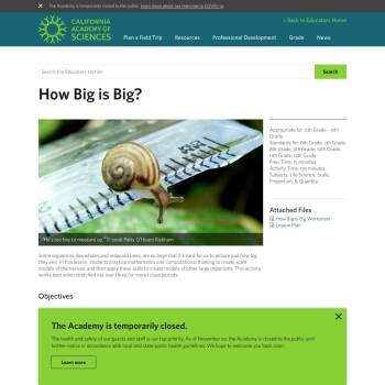 How Big is Big? :: Resources :: Ascend Learning Experience