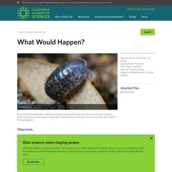 What Would Happen? :: Resources :: Ascend Learning Experience