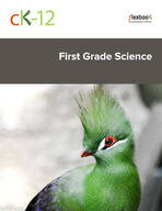 CK-12 First Grade Science :: Resources :: Ascend Learning Experience