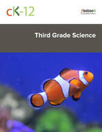 CK-12 Third Grade Science :: Resources :: Ascend Learning Experience