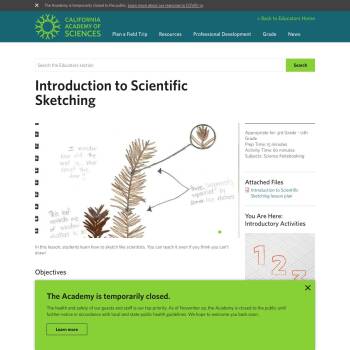 Introduction to Scientific Sketching :: Resources :: Ascend Learning Experience