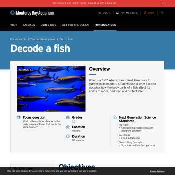 Decode a fish :: Resources :: Ascend Learning Experience